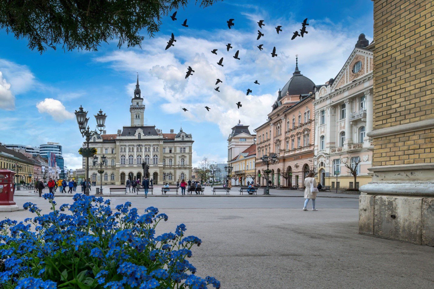 Ανακαλύπτοντας τη Βόρεια Σερβία: Δύο πανέμορφες πόλεις, Νόβι Σαντ και ...