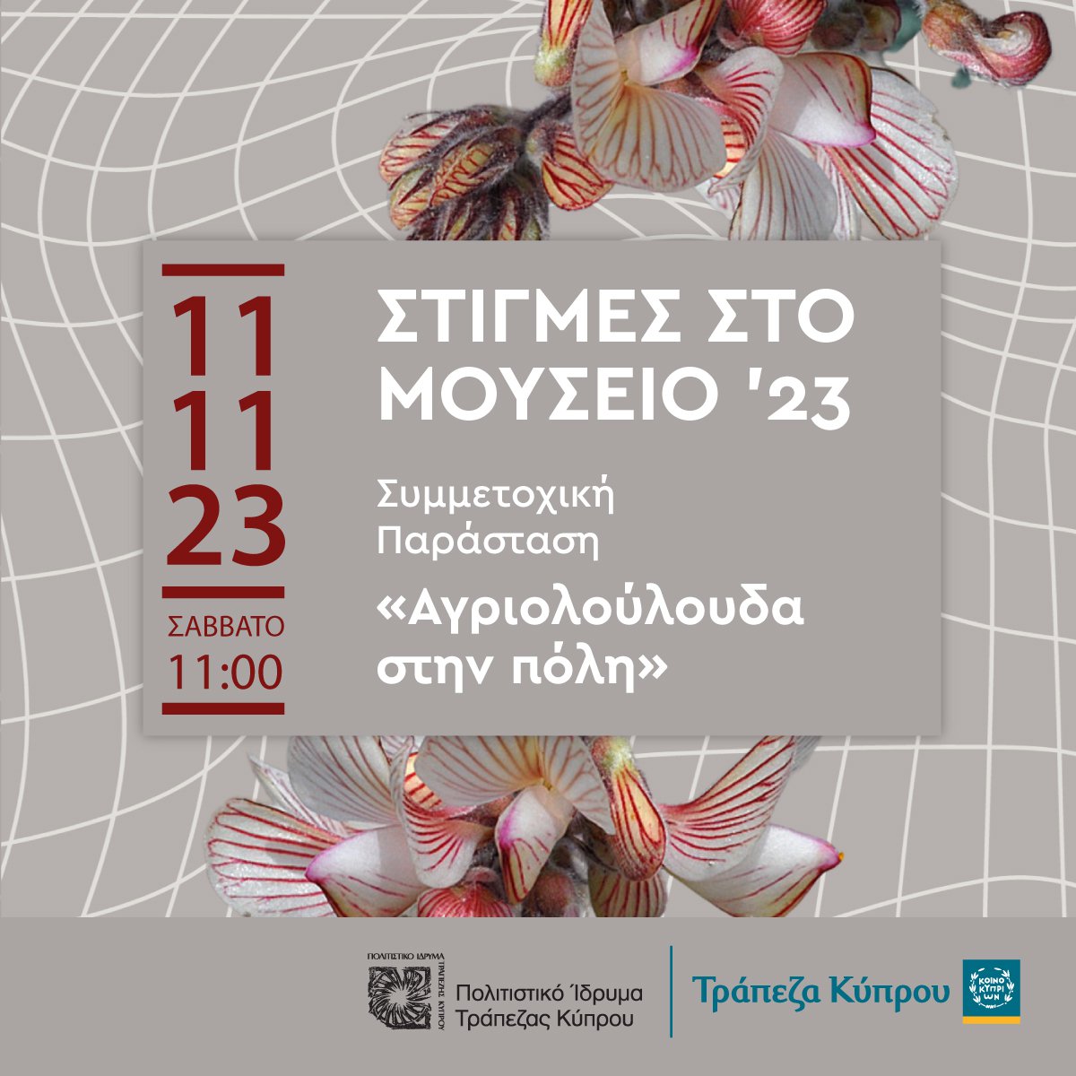Συμμετοχική παράσταση "Αγριολούλουδα στην πόλη